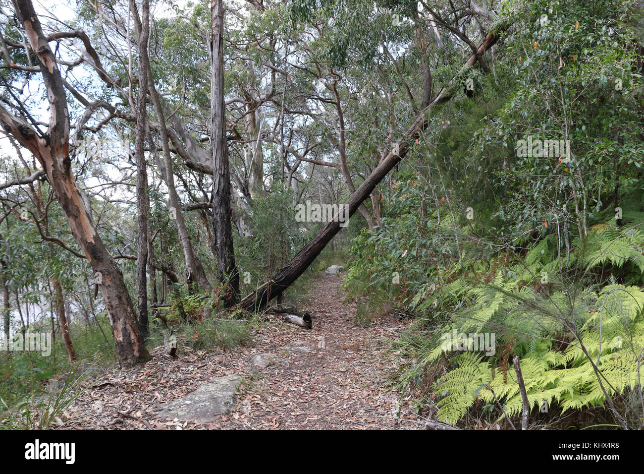 Paruna reserve hi-res stock photography and images - Alamy
