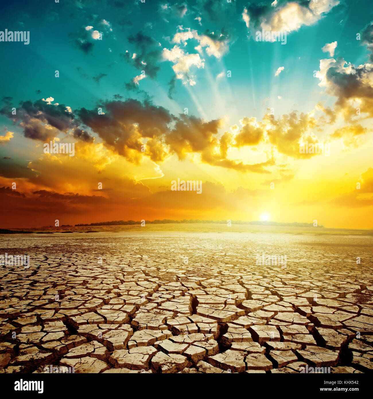 Natural Disaster Drought