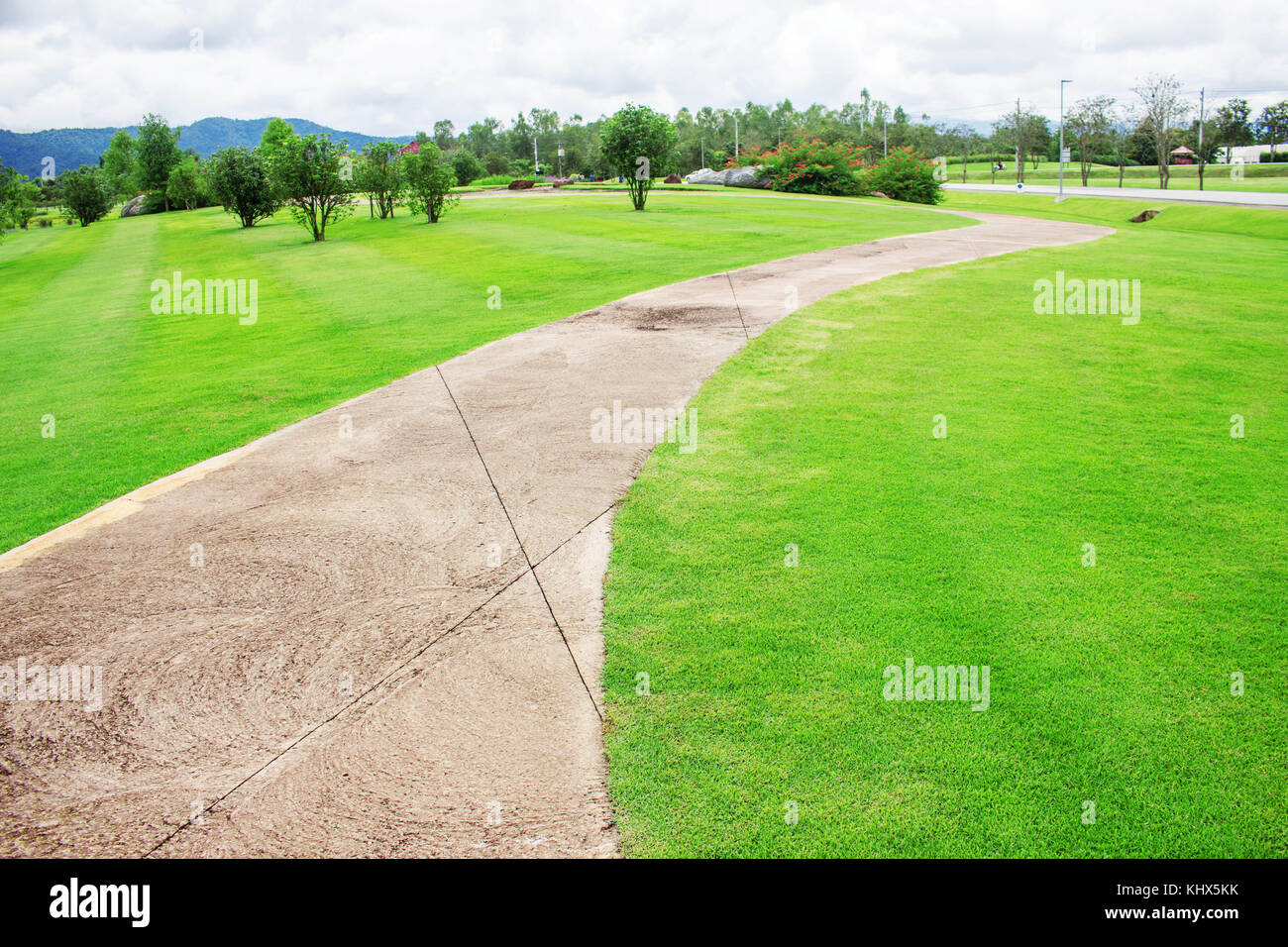 Footpaths on lawn in the park Stock Photo - Alamy