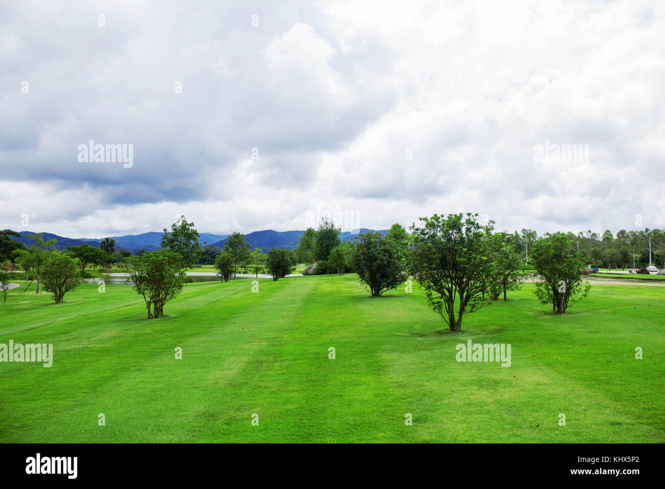 Tree on lawn in garden with sky in rainy season Stock Photo - Alamy