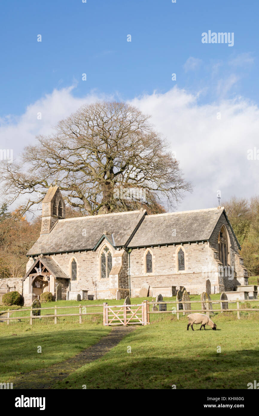 Church of St Mary in autumn light, Hopton Castle, shropshire, England ...