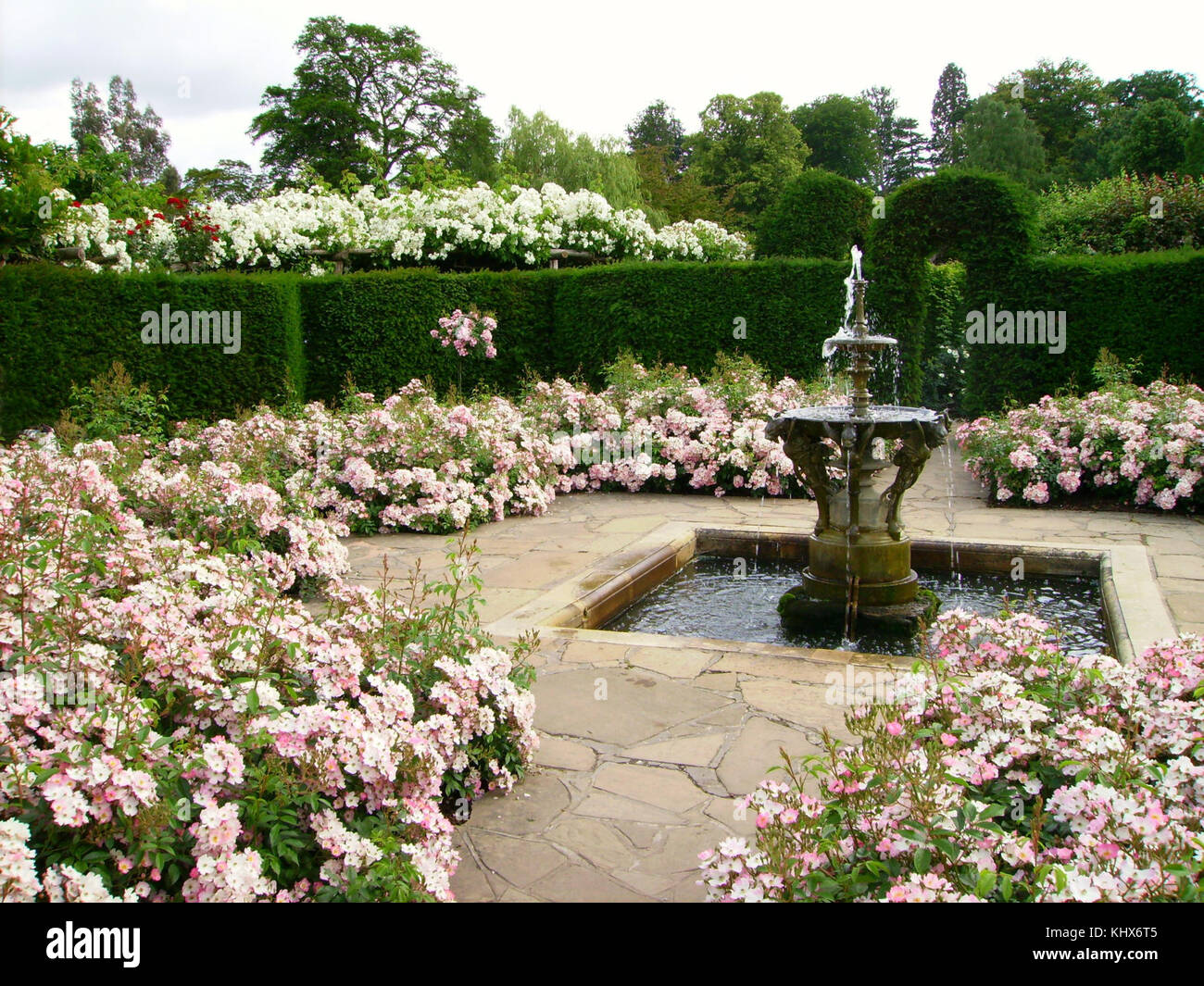 The rose garden at Hever Castle, located in Kent, England, features a ...