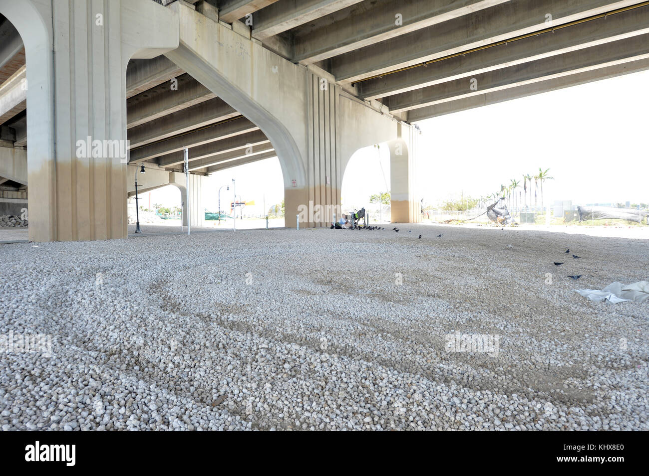 MIAMI BEACH, FL - SEPTEMBER 12: (EXCLUSIVE COVERAGE) Homeless man is ...