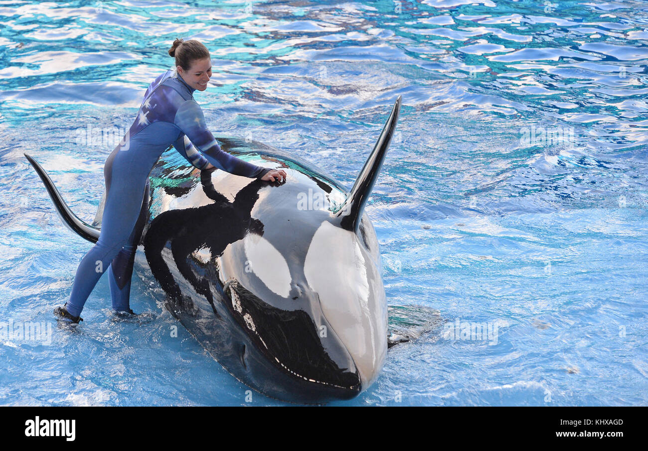 ORLANDO, FL - DECEMBER 20: Besieged theme park SeaWorld has launched ...