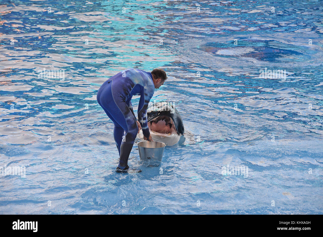 ORLANDO, FL - DECEMBER 20: Besieged theme park SeaWorld has launched ...