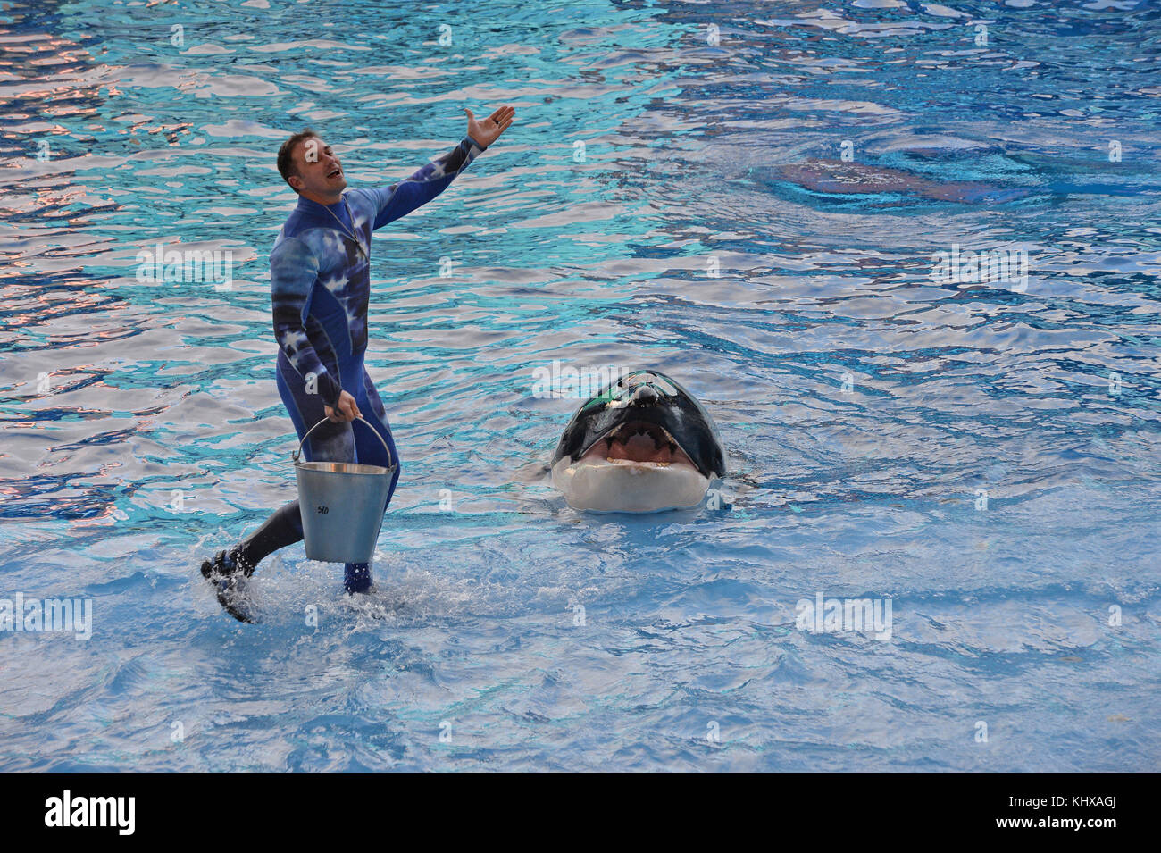ORLANDO, FL - DECEMBER 20: Besieged theme park SeaWorld has launched ...