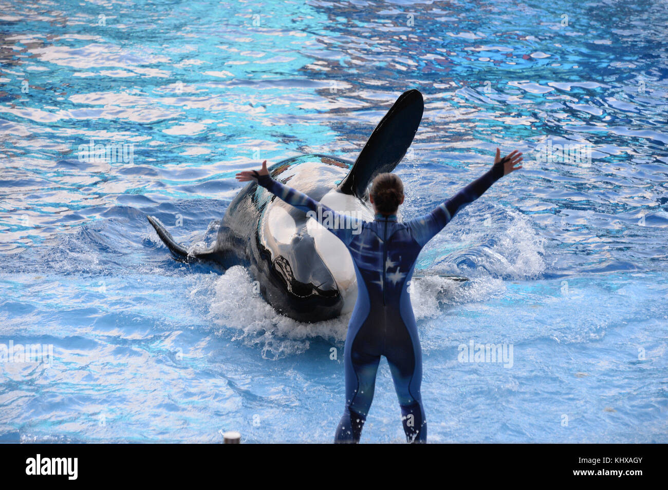 ORLANDO, FL - DECEMBER 20: Besieged theme park SeaWorld has launched ...