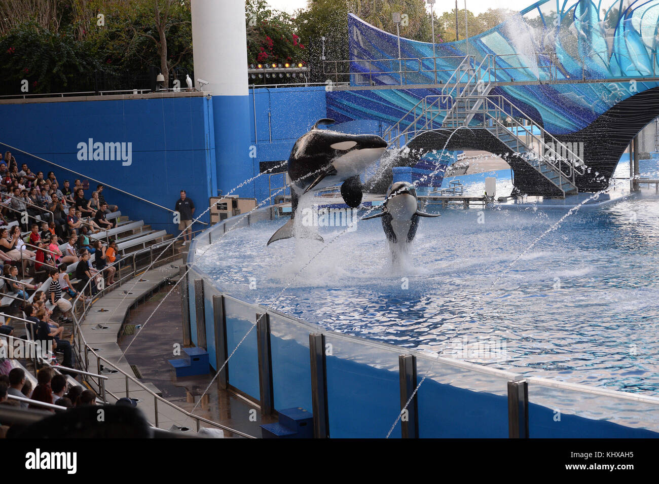 ORLANDO, FL - DECEMBER 20: Besieged theme park SeaWorld has launched ...