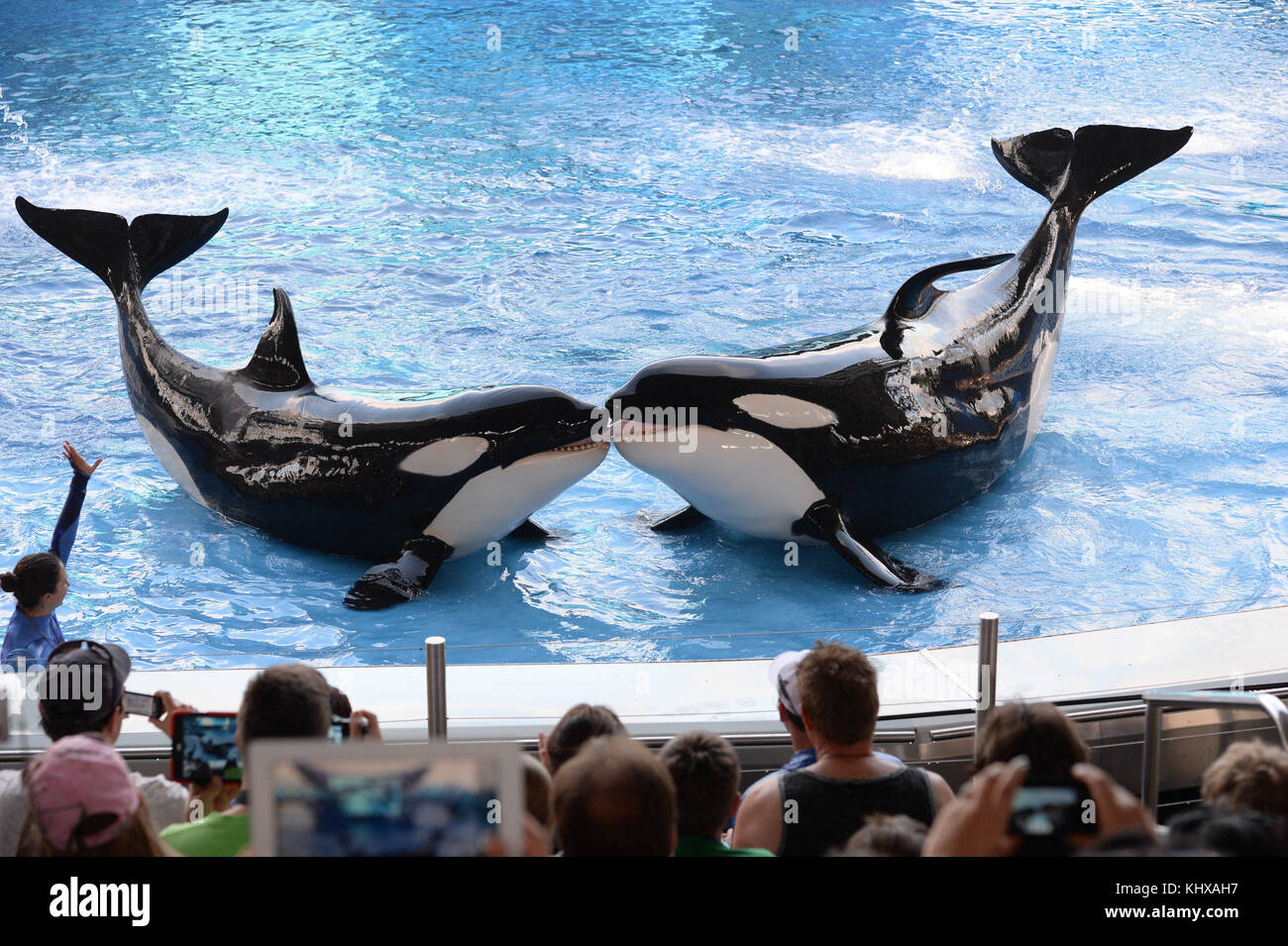 ORLANDO, FL - DECEMBER 20: Besieged theme park SeaWorld has launched ...