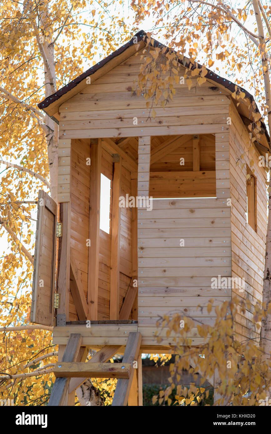 Wooden tree house hi-res stock photography and images - Alamy