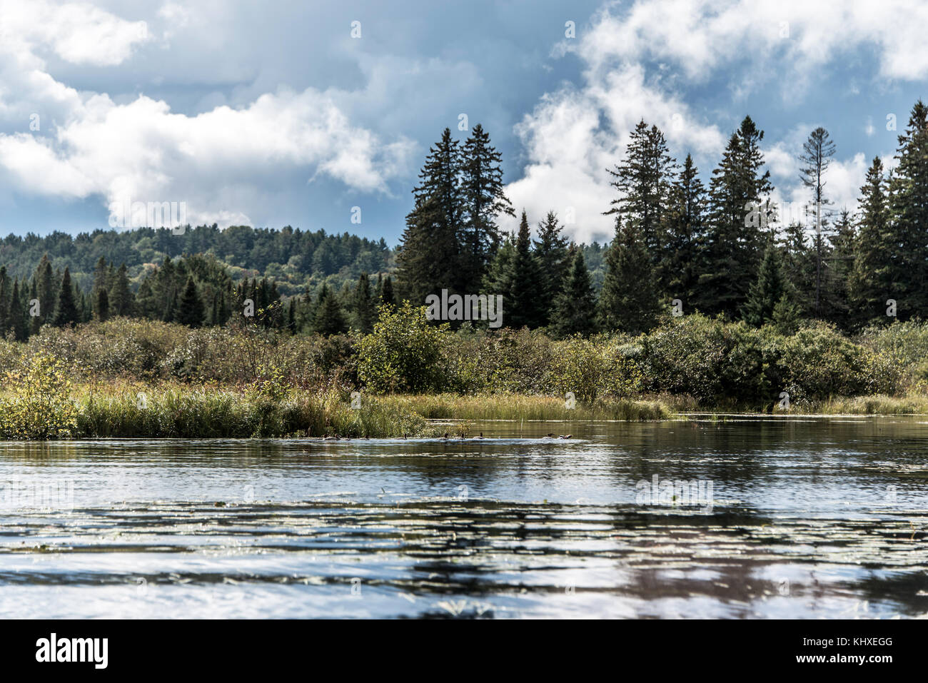 Canada Ontario Lake of two rivers - natural wild landscape near the ...