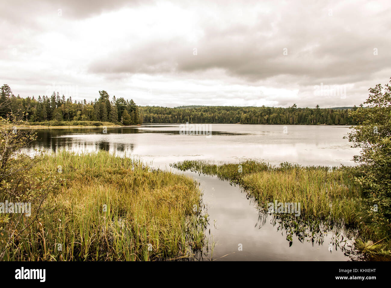 Algonquin park canada kayak hi-res stock photography and images - Alamy