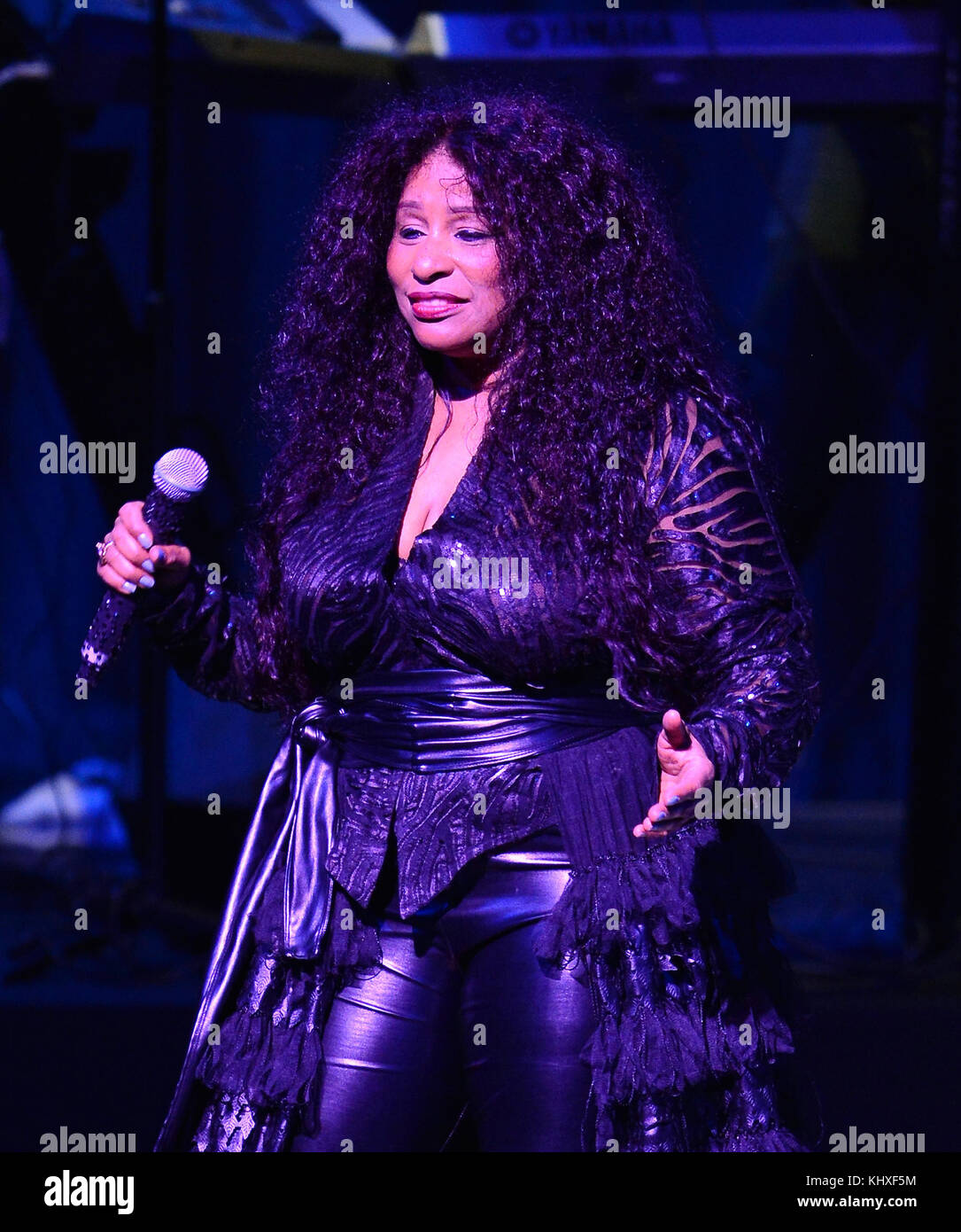 MIAMI, FL - FEBRUARY 17: Chaka Khan preforms onstage at The Knight ...