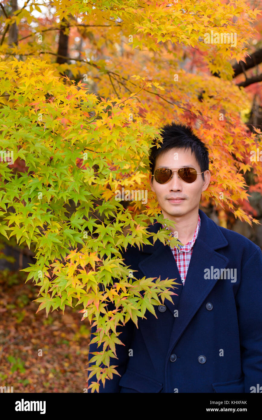 Japanese man with maple leaves in autumn background Stock Photo - Alamy