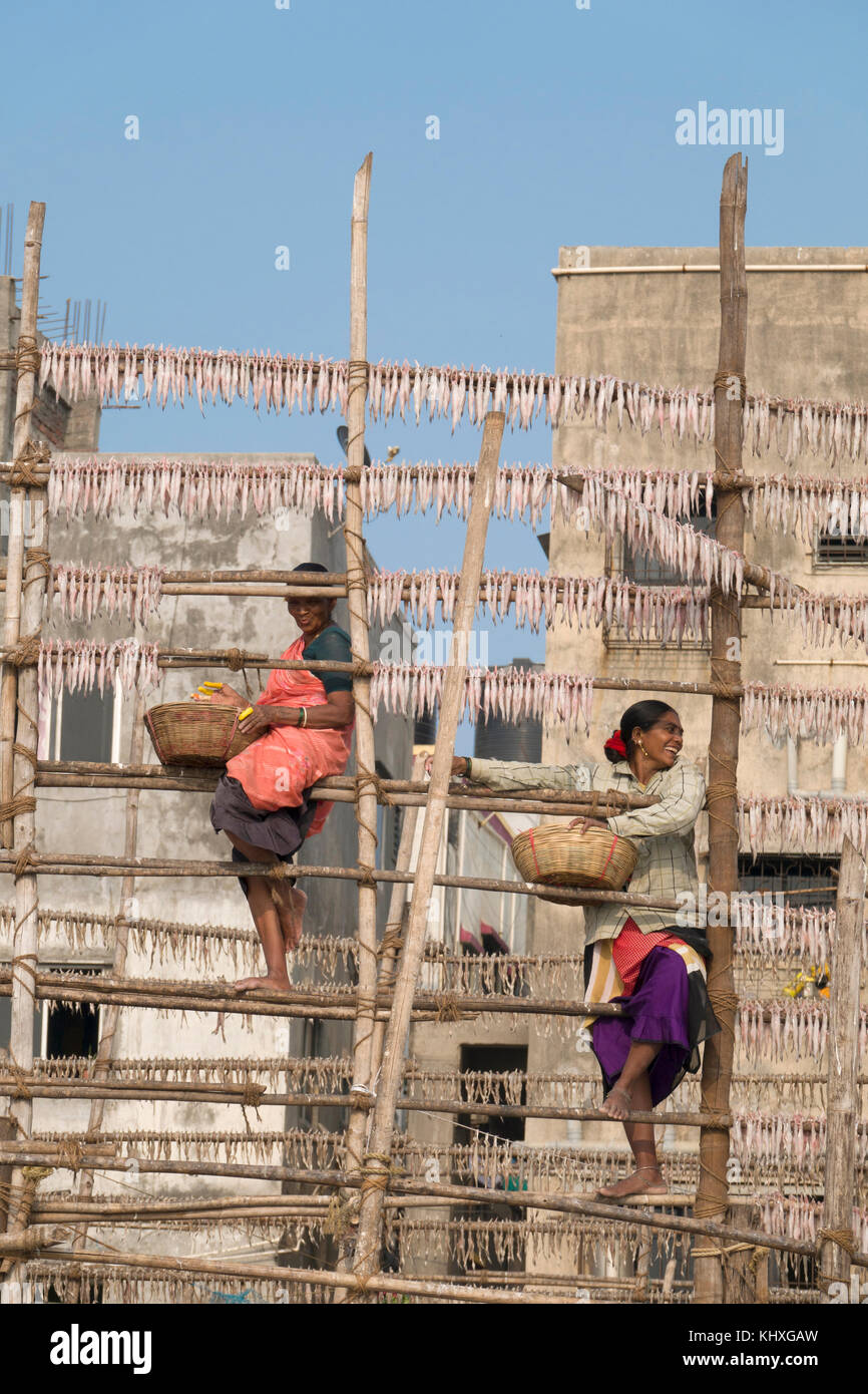 Women hanging fish on drying racks in sun at Versova Beach, Mumbai ...