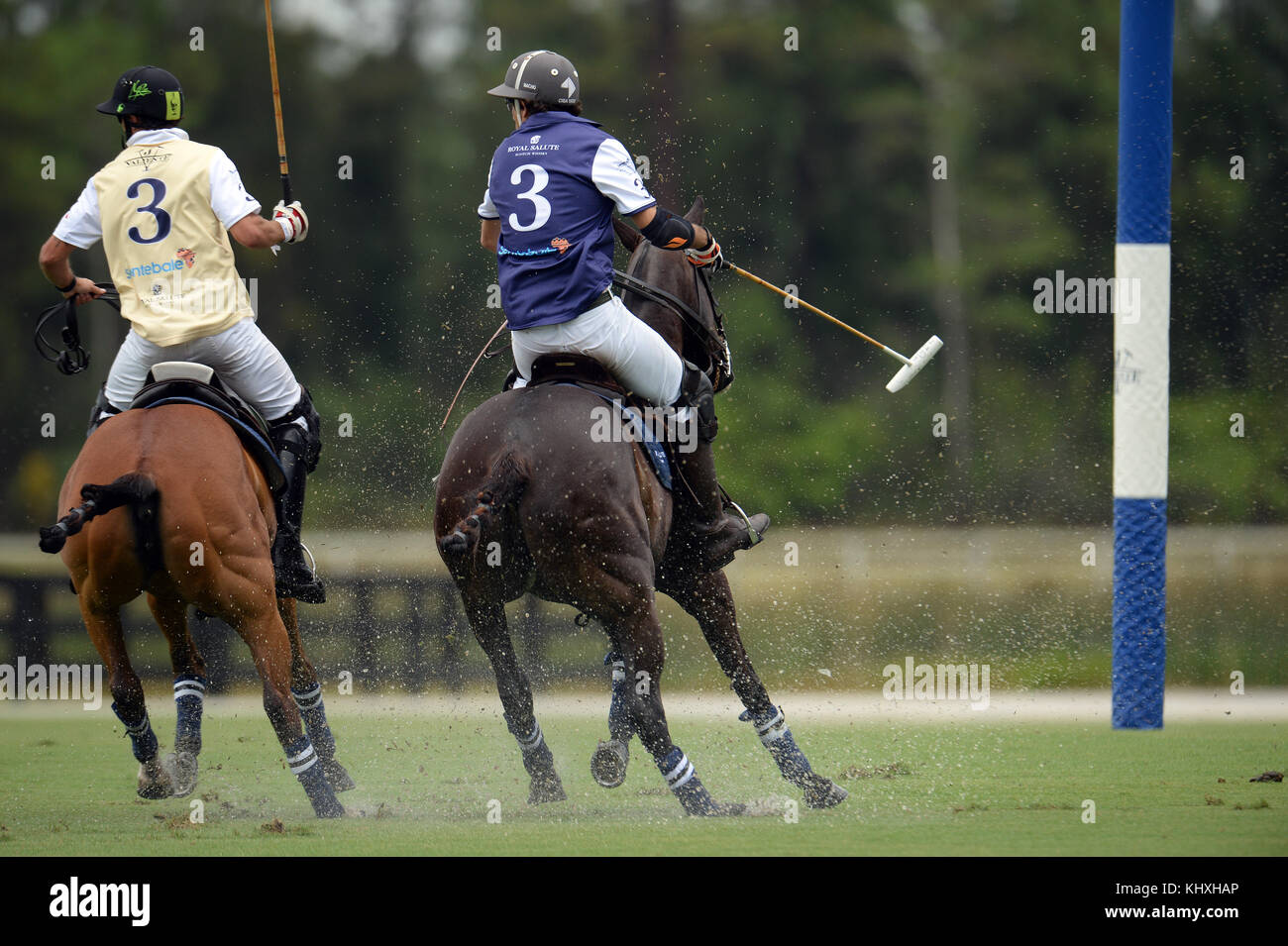 WELLINGTON, FL - MAY 04: Nacho Figueras, Nic Roldan participates in the ...