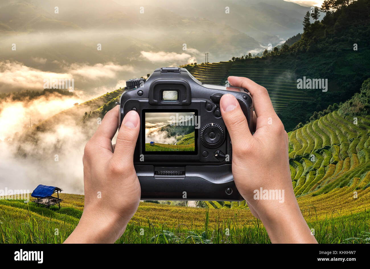 Vietnam Rice Field Camera High Resolution Stock Photography and Images ...