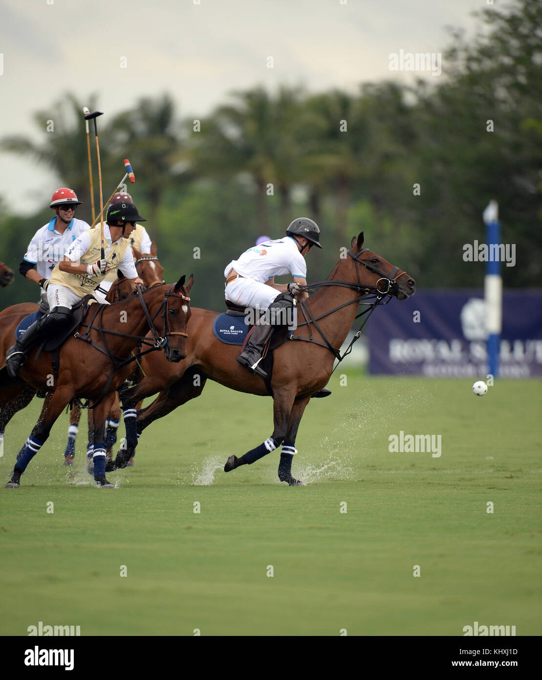 WELLINGTON, FL - MAY 04: Prince Harry, Nic Roldan participates in the ...