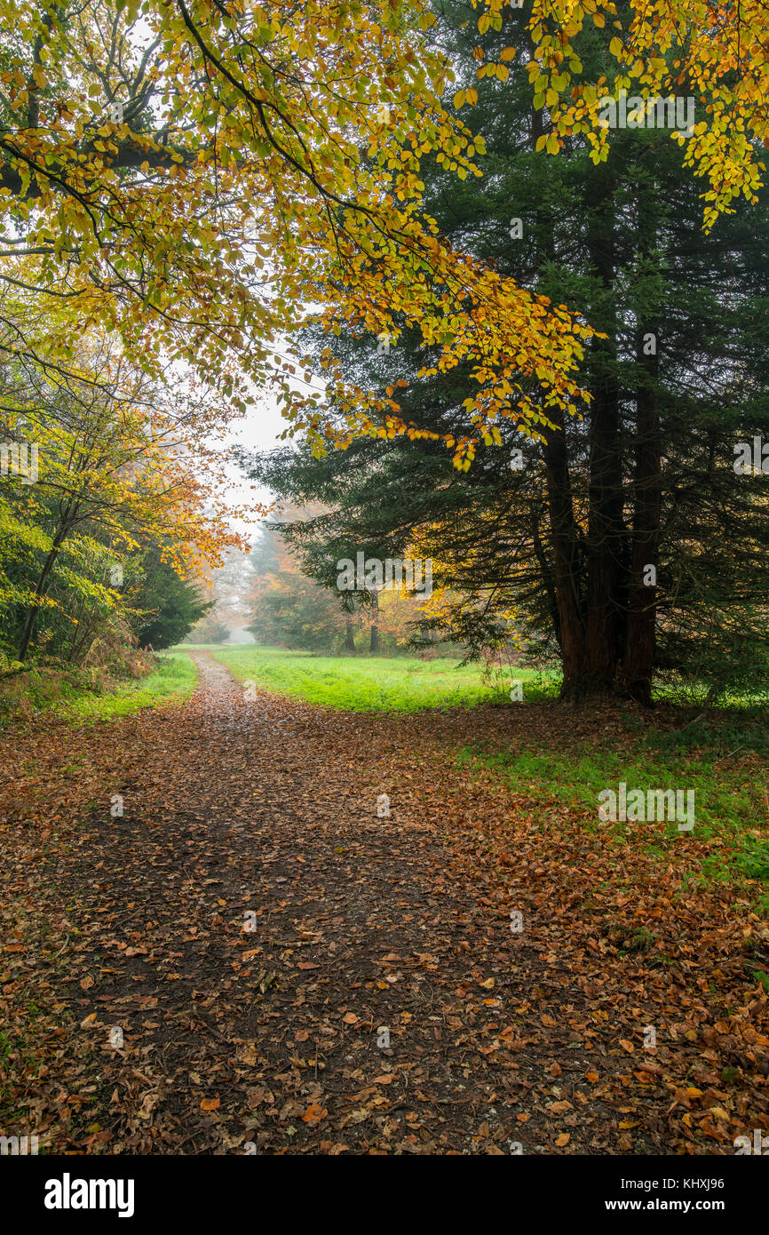 Slindon west sussex england hi-res stock photography and images - Alamy