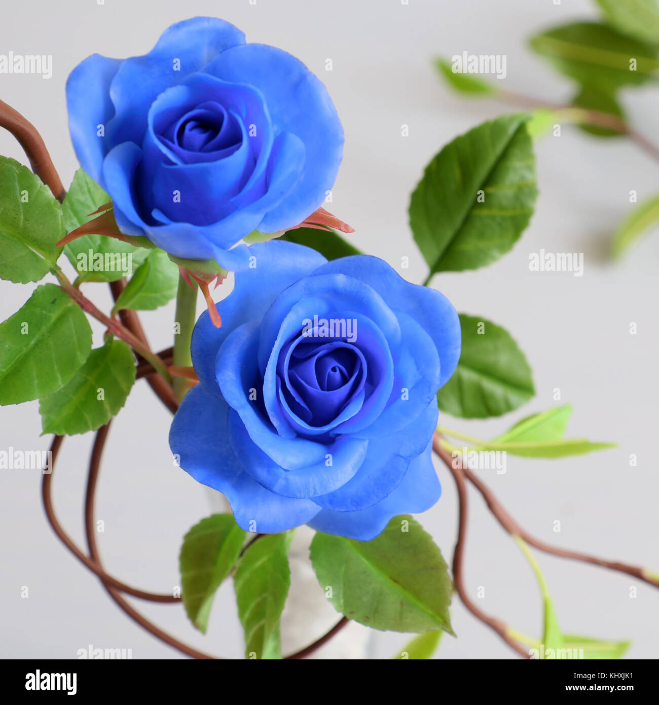 Thank you background with grateful message, two blue roses with green ...