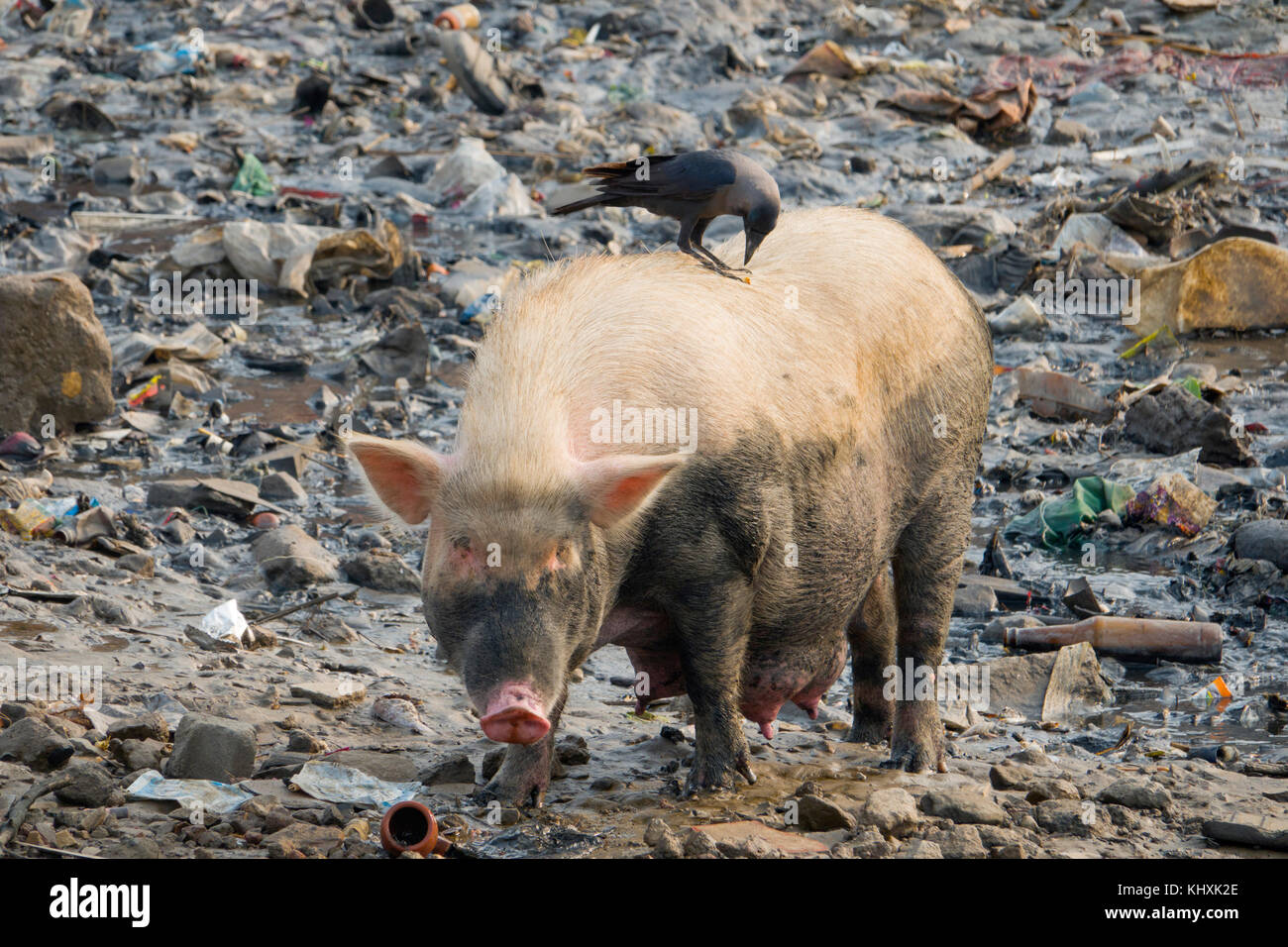 Four Charged With Rioting, crowbar and a hammer seized : r/rva