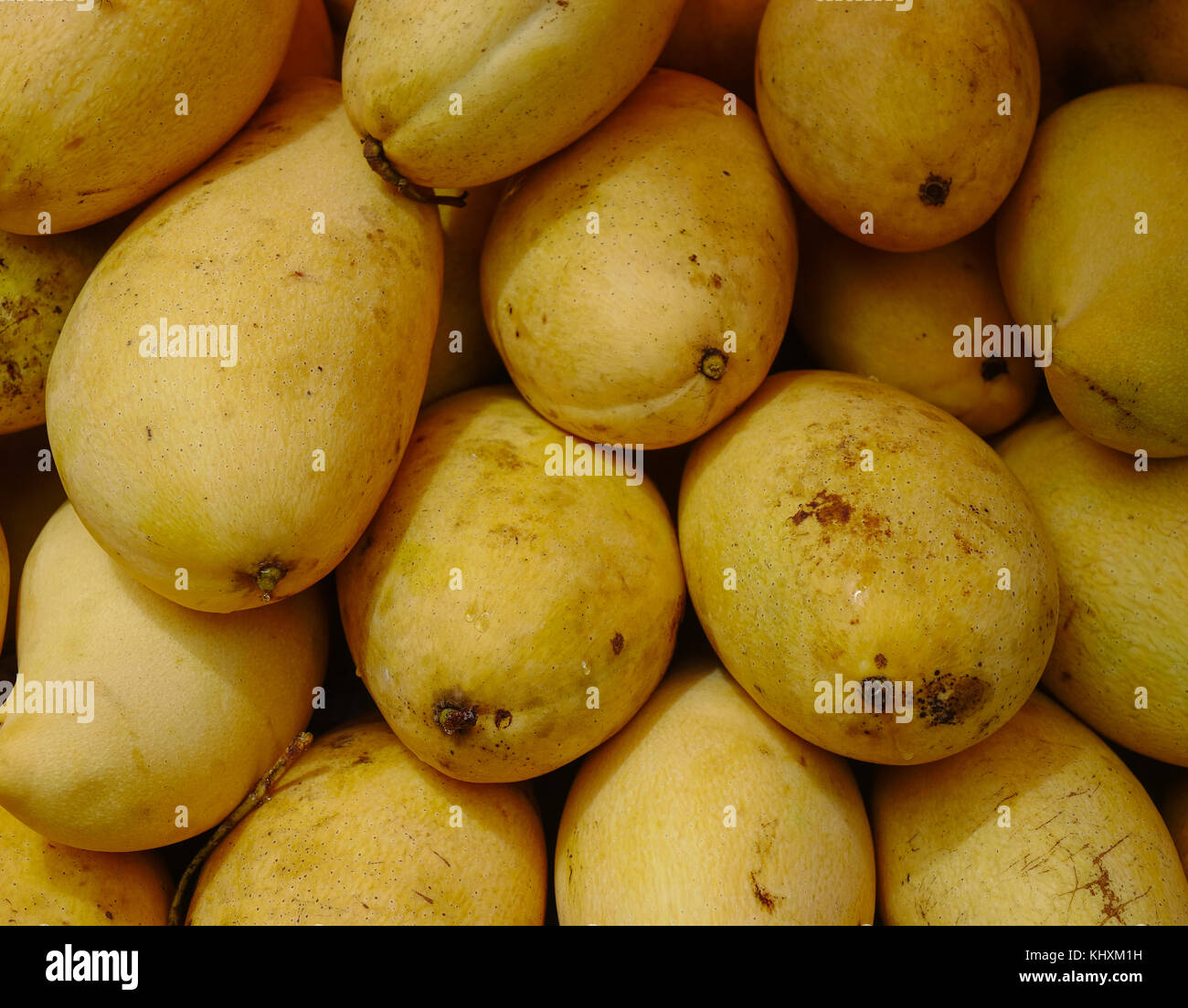 Yellow mango fruits at the rural market in Bangkok, Thailand Stock ...