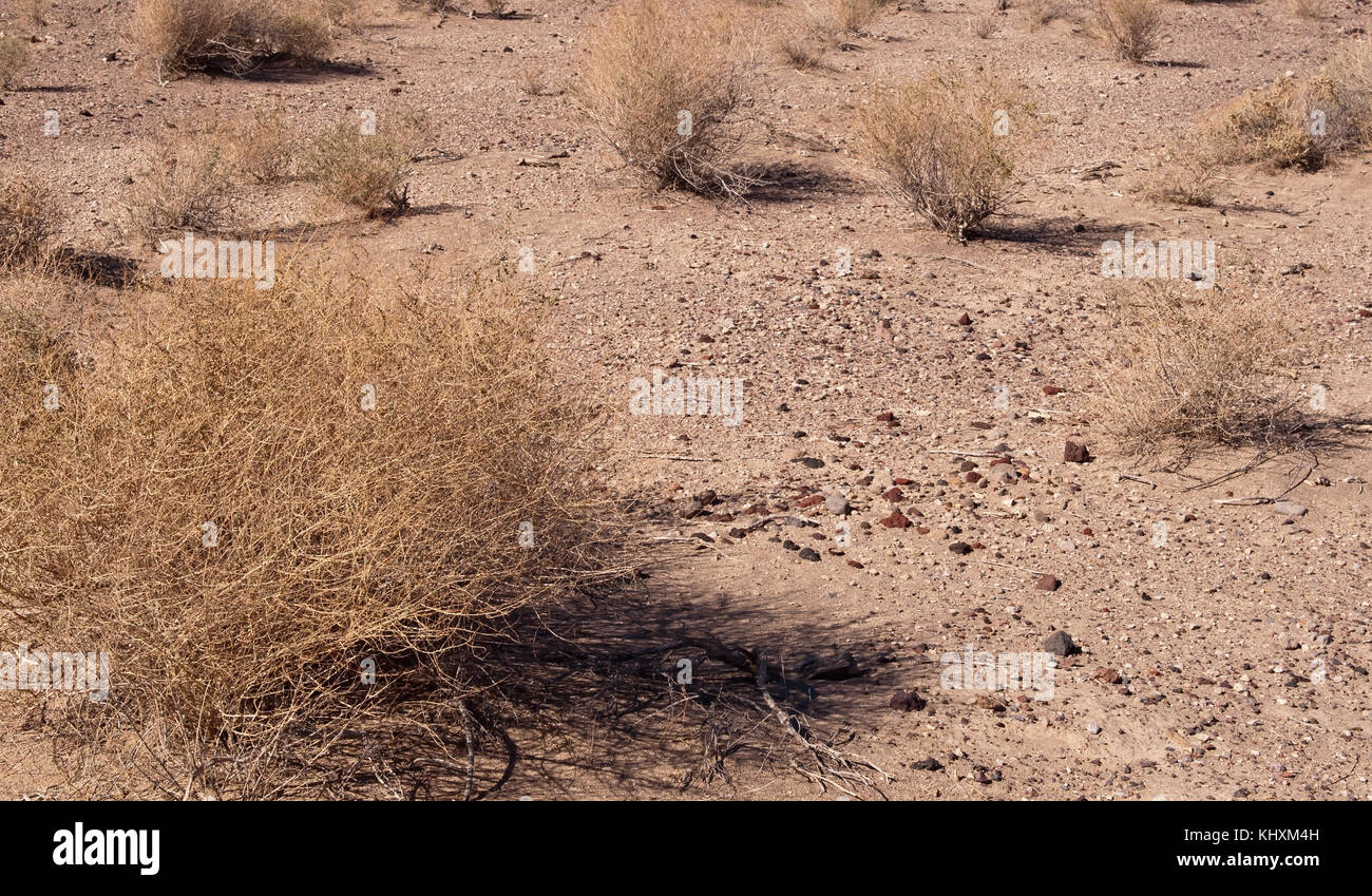 The desert floor from the Mojave Desert in California Stock Photo - Alamy