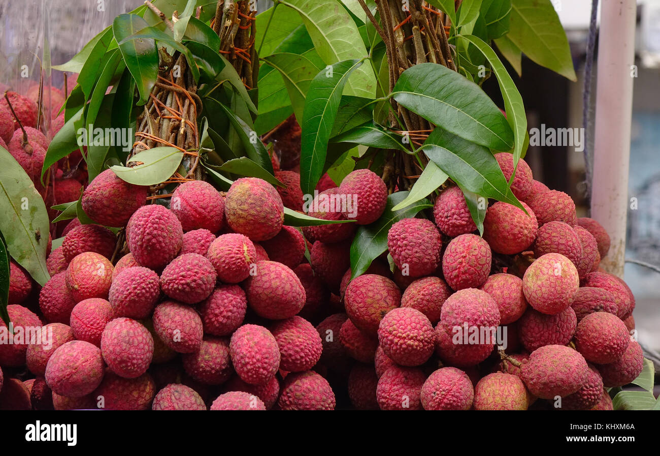 Lychee fruits at the outdoor street market in Bangkok, Thailand Stock ...