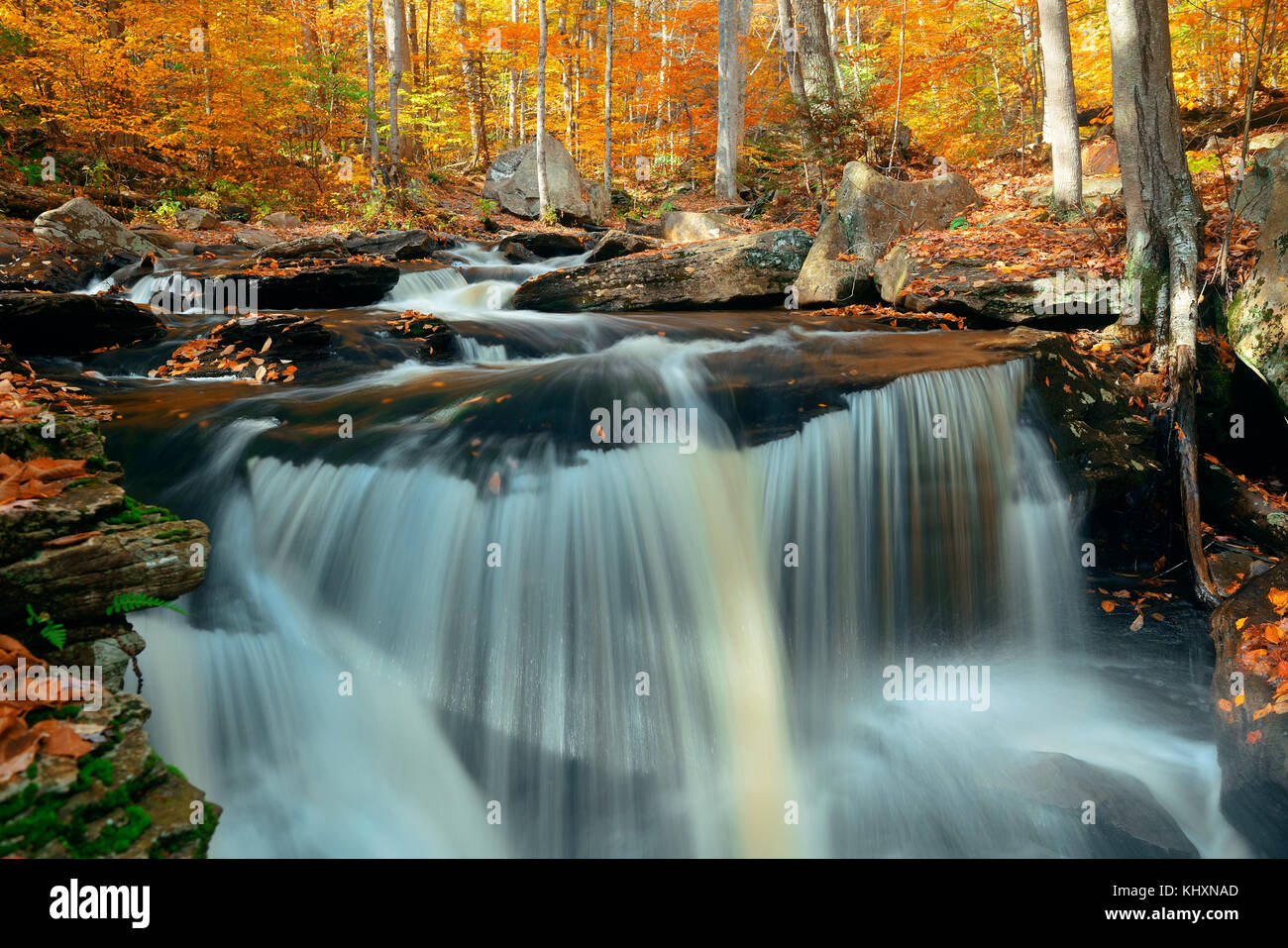 Autumn waterfalls in park with colorful foliage Stock Photo - Alamy