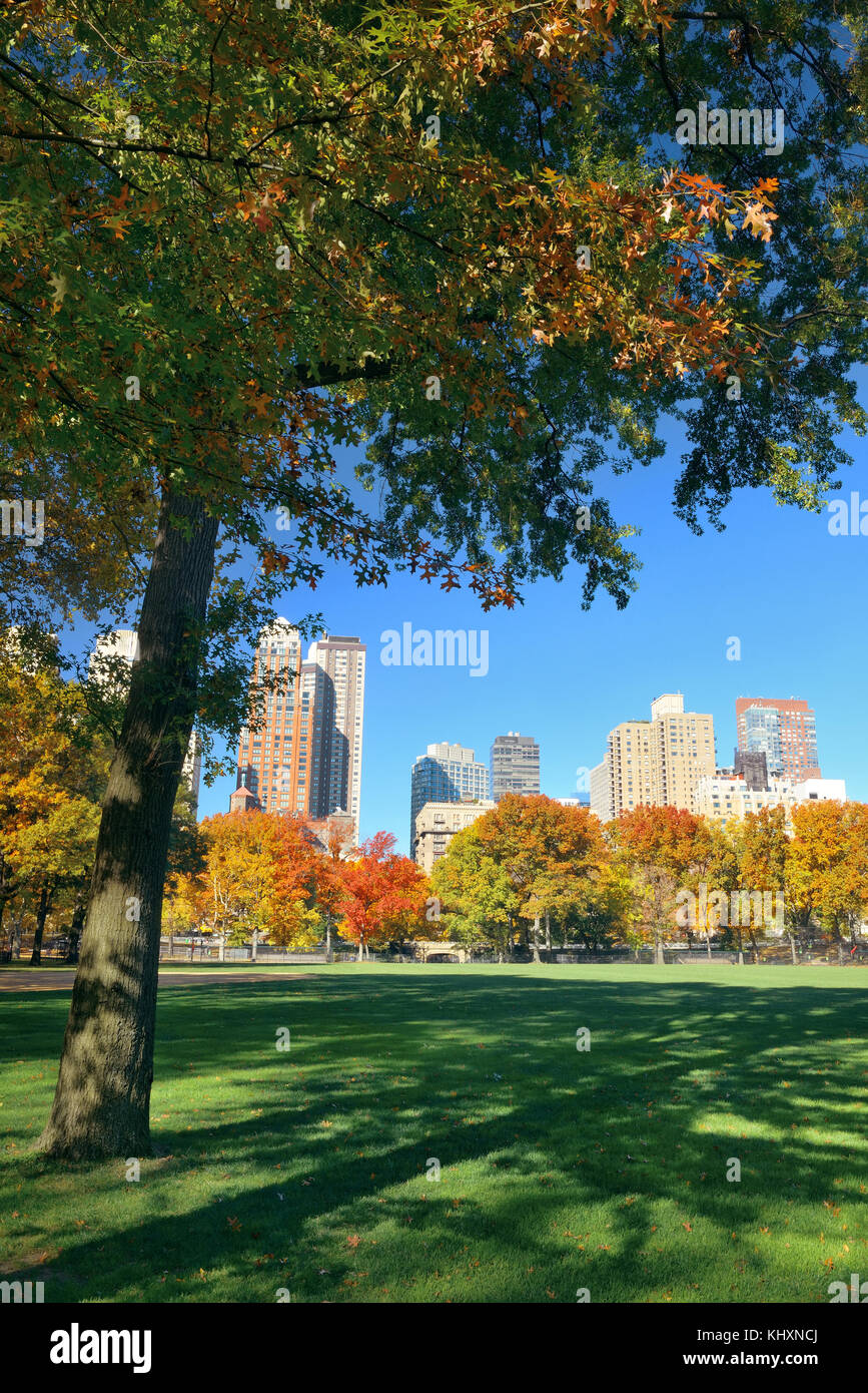 Manhattan midtown skyline viewed from central park in Autumn in New ...