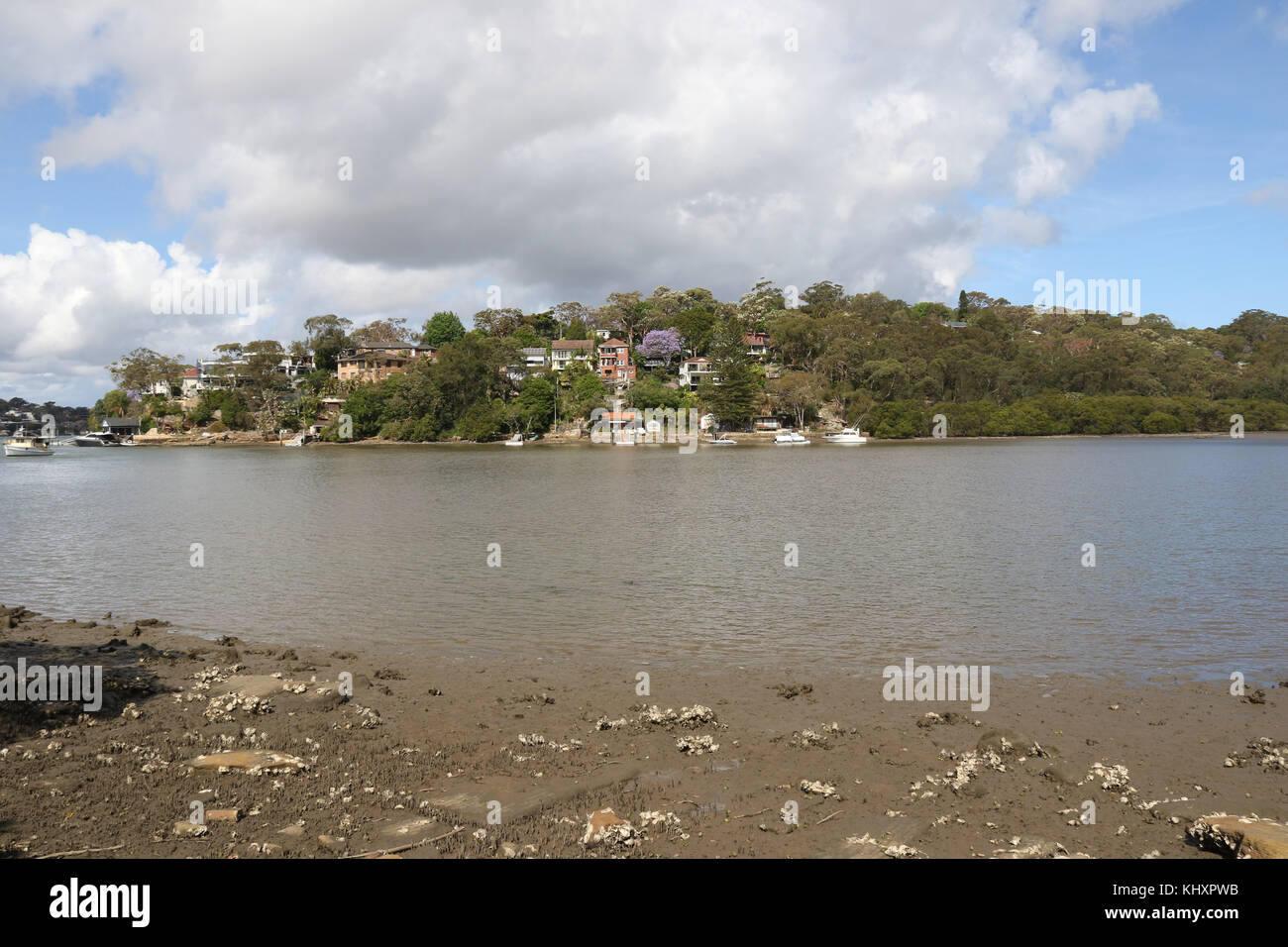 View from Green Point Reserve across Coronation Bay in the suburb of ...