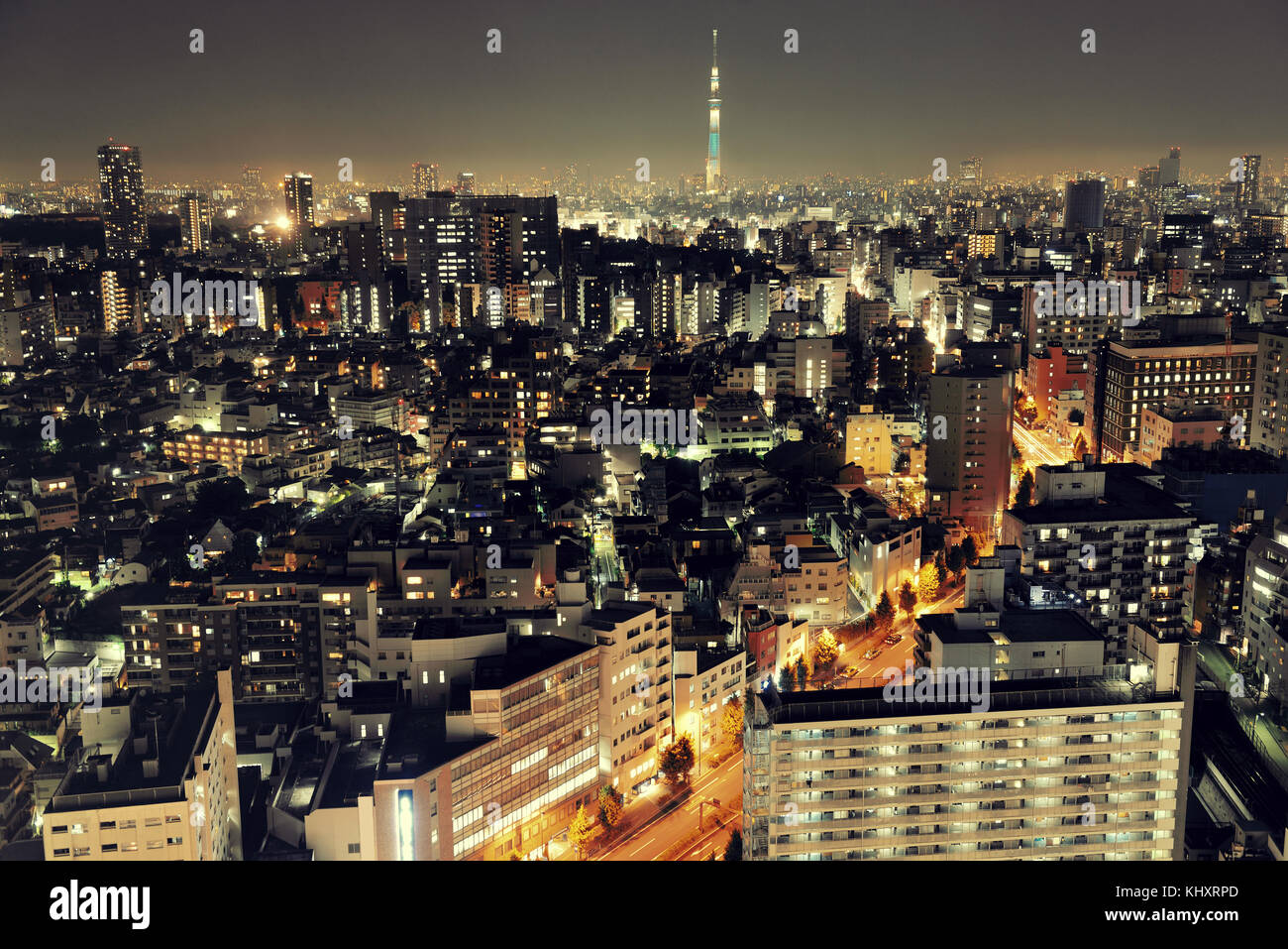 Tokyo Skytree and urban skyline rooftop view at night, Japan Stock ...