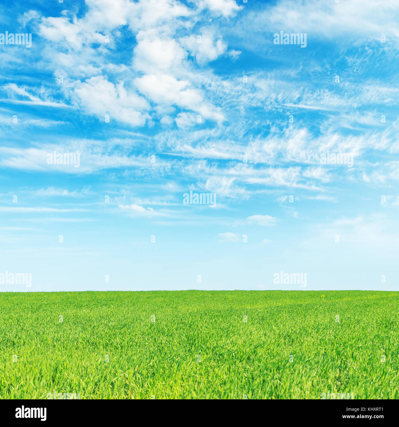green grass and blue sky with clouds Stock Photo - Alamy