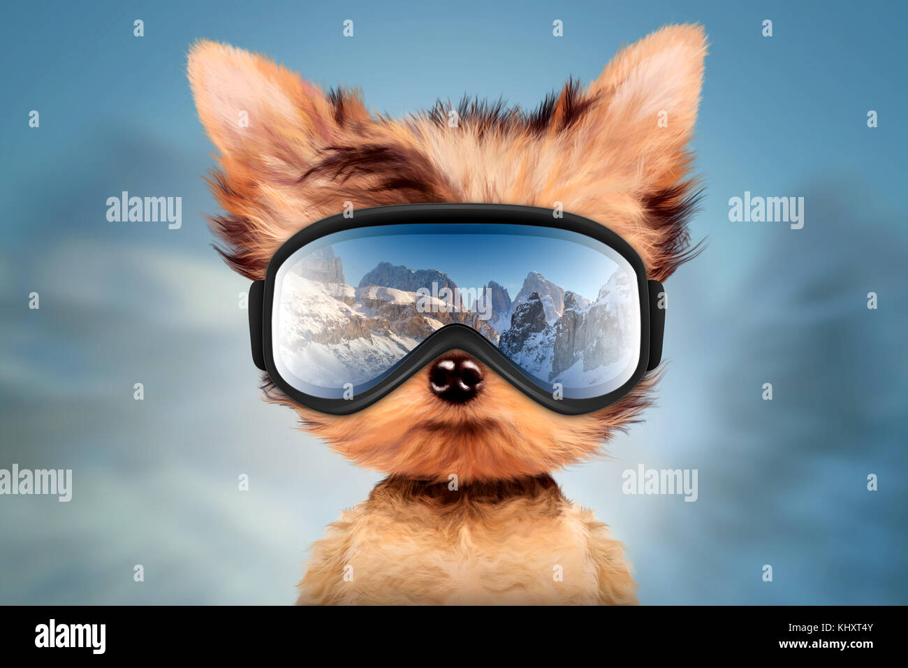 Funny Dog wearing ski goggles. Christmas concept Stock Photo - Alamy