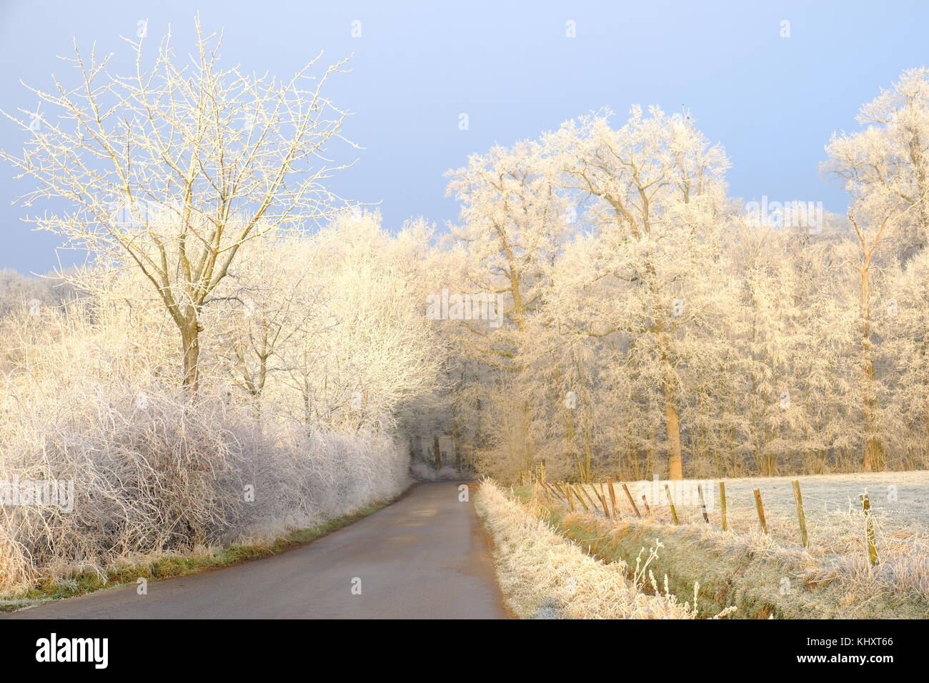 Magical winter hi-res stock photography and images - Alamy