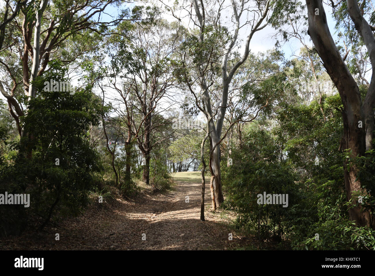 Green Point Reserve in the suburb of Oyster Bay, Sutherland Shire Stock ...