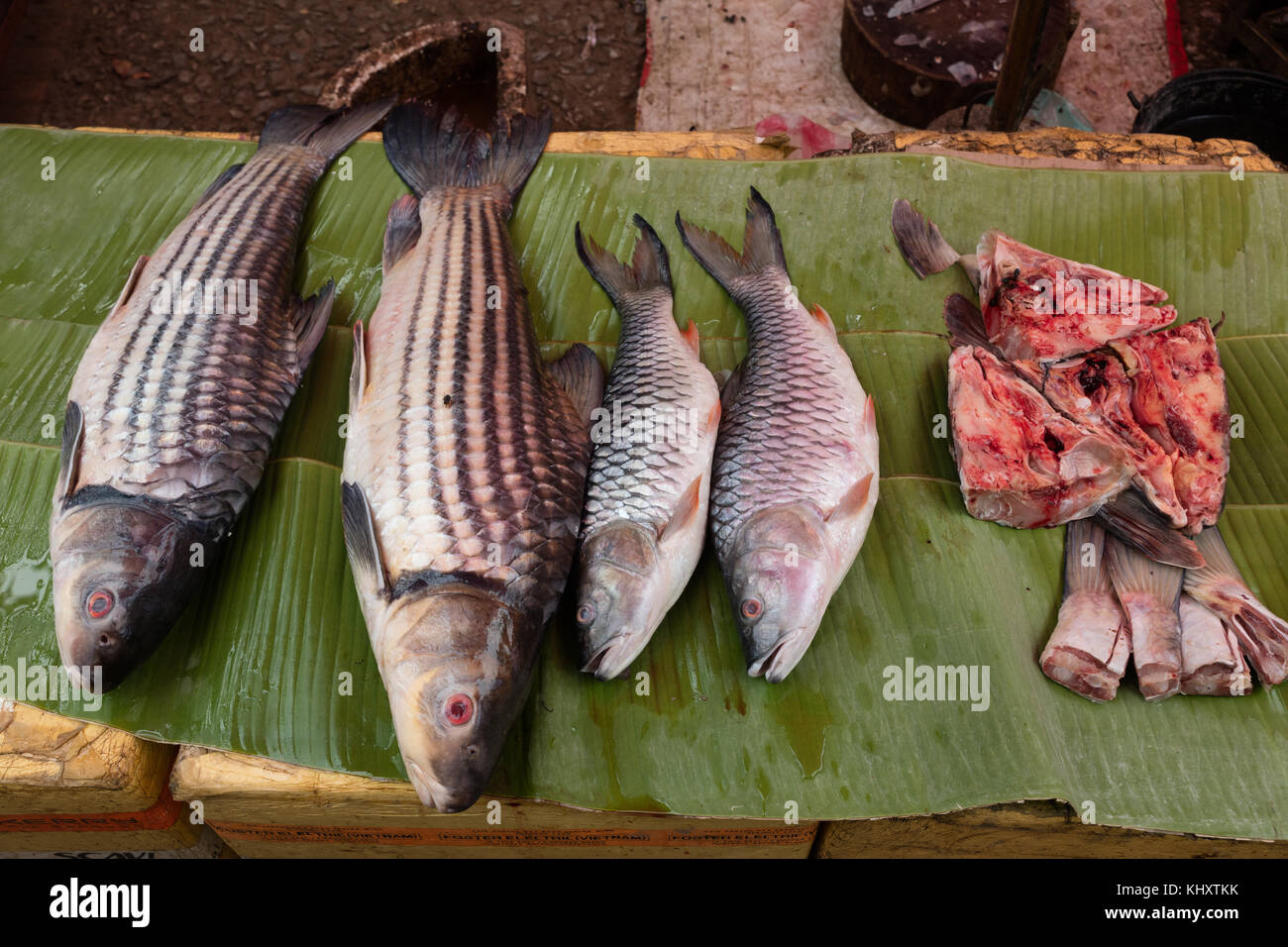 Fish exposed in open market Stock Photo - Alamy