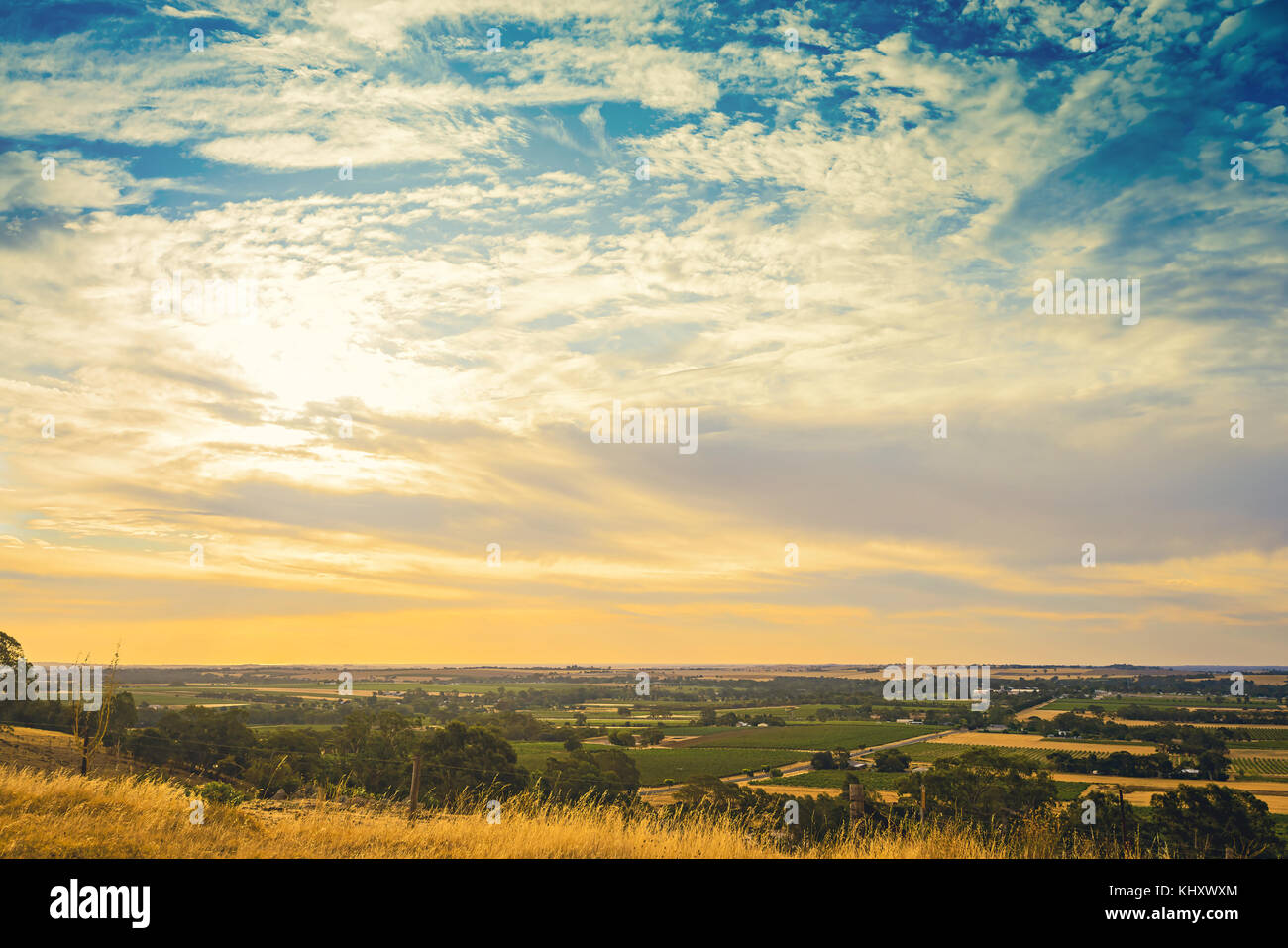Barossa valley viewed from Mengler Hill Lookout, South Australia Stock ...