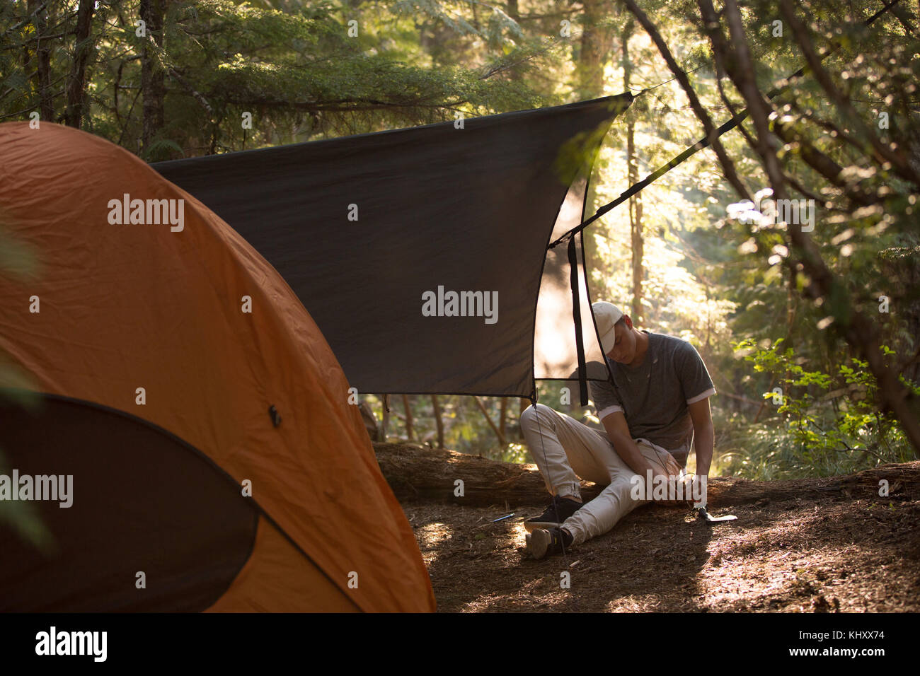 Teenage boy securing tent to ground Stock Photo - Alamy