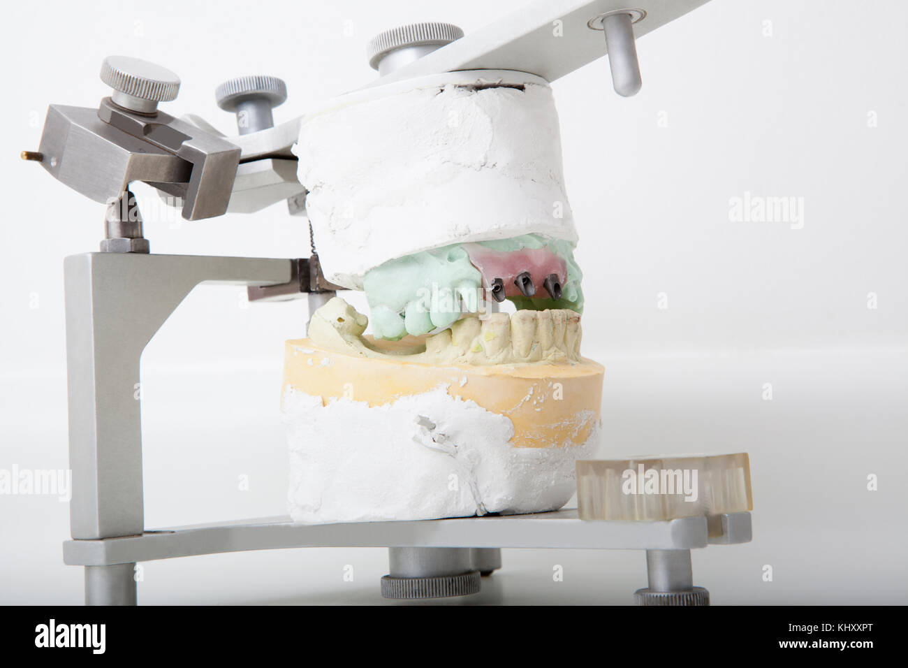 Testing of set of teeth in laboratory Stock Photo - Alamy