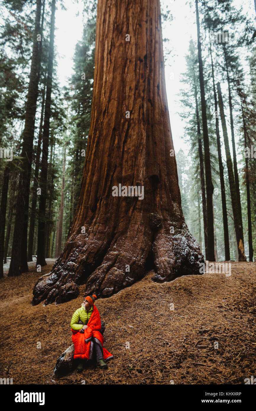 Male wild camper sitting on log wrapped in red sleeping in Sequoia ...
