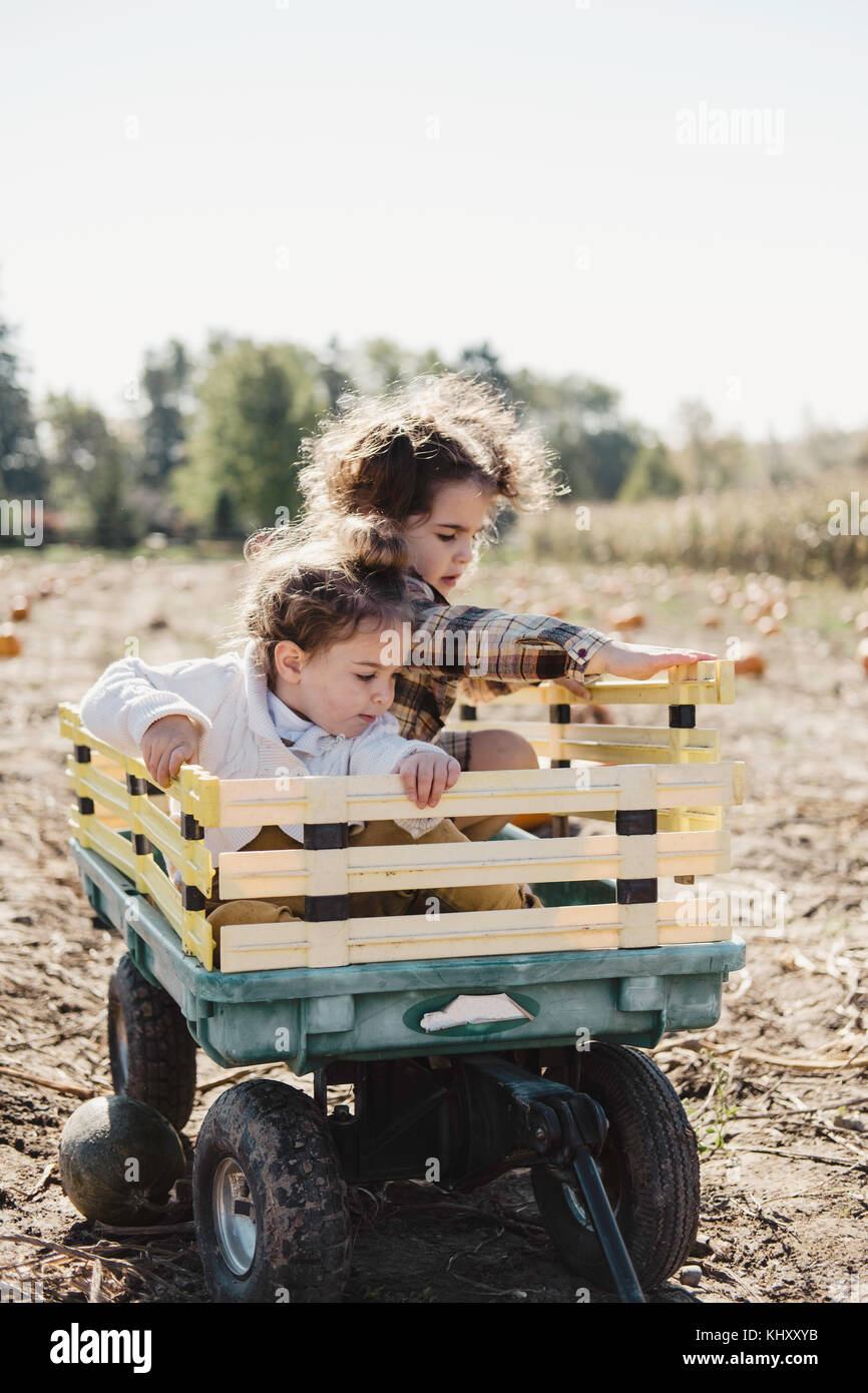 Pull The Cart High Resolution Stock Photography and Images - Alamy