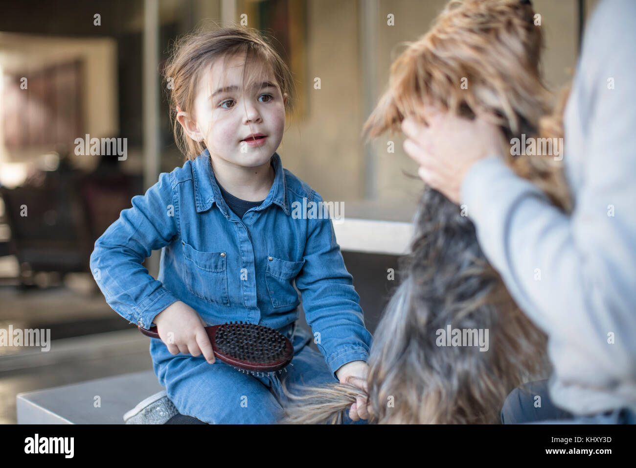 Child grooming dog hi-res stock photography and images - Alamy