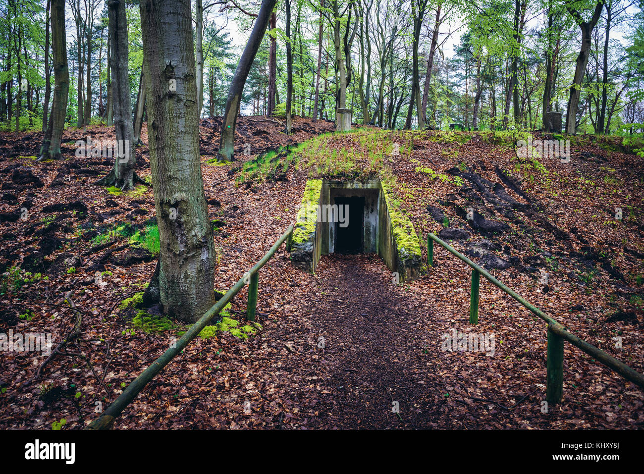 Forest bunker hi-res stock photography and images - Alamy