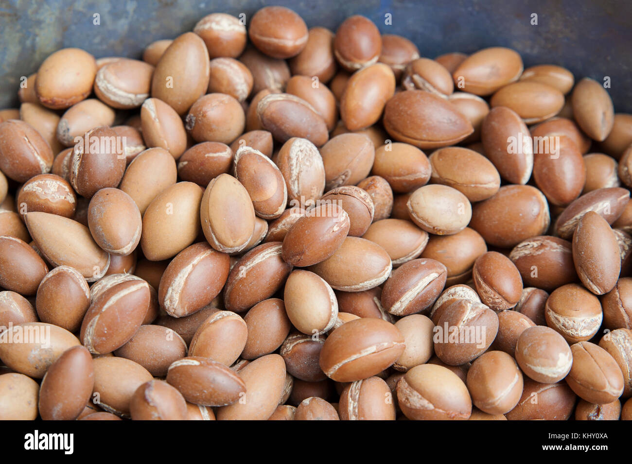 Basket of argan seeds at the market, the most valued crop of Argania ...