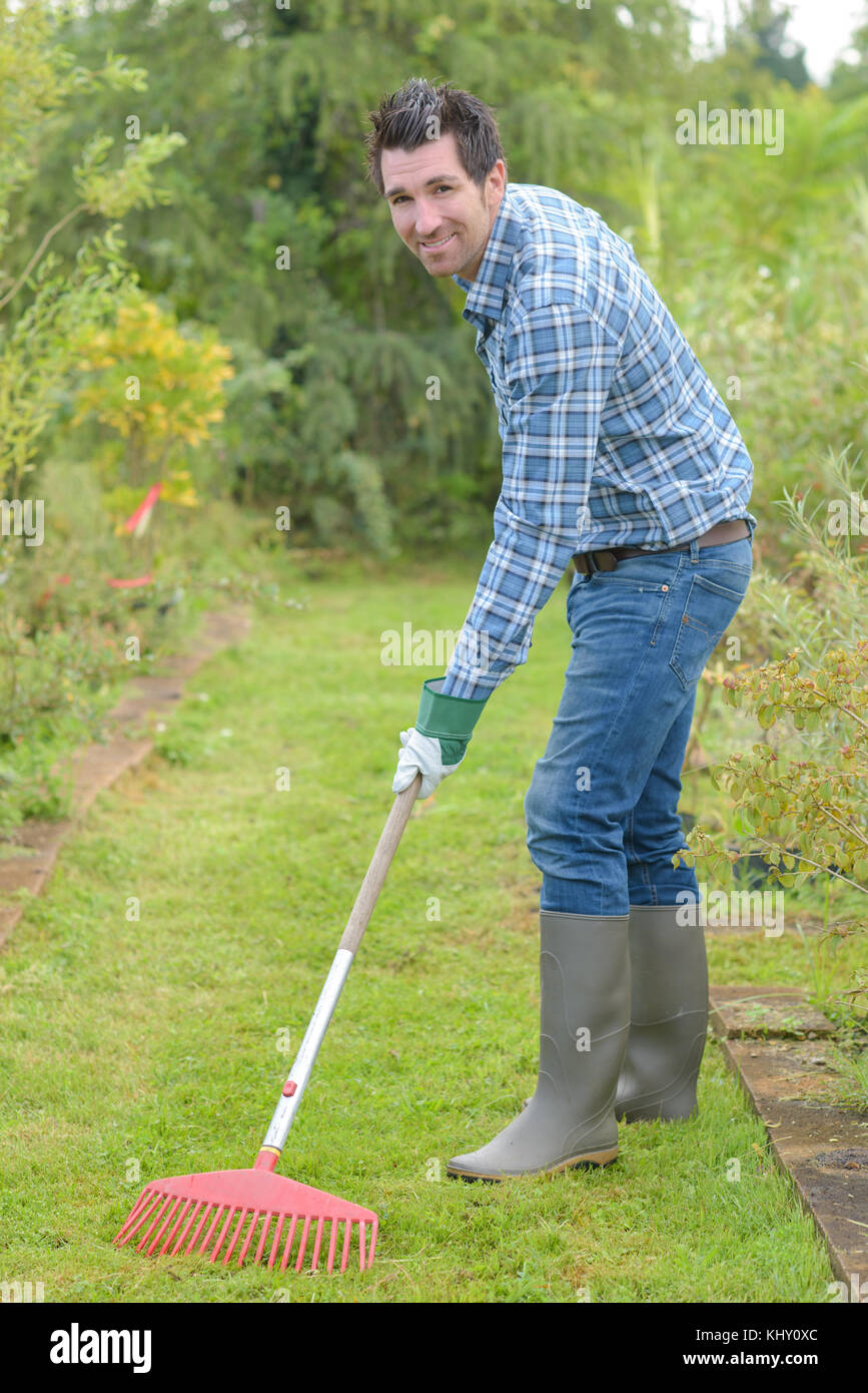 raking the grass Stock Photo - Alamy