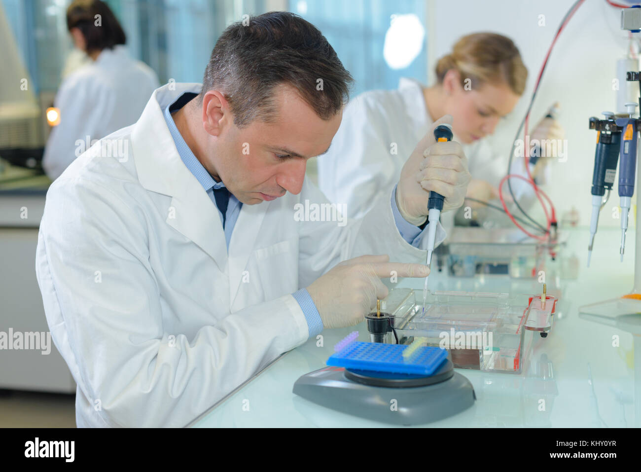 Laboratory technician filling sample tubes Stock Photo - Alamy