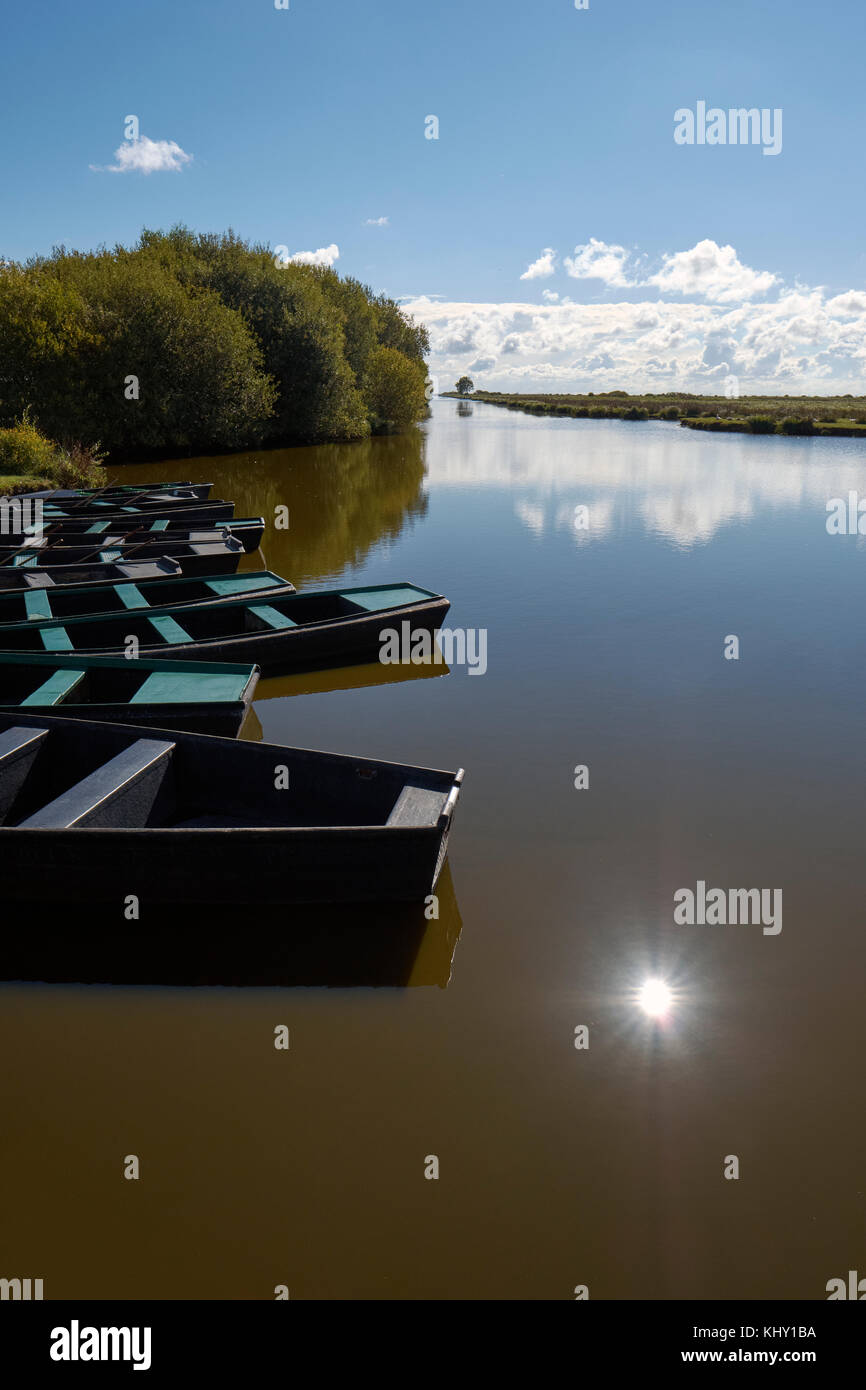 Chaland flat bottomed boats moored in the marshland Briere National ...