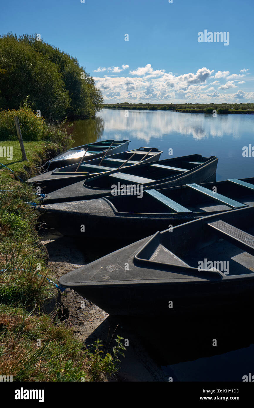 Chaland flat bottomed boats moored in the marshland Briere National ...