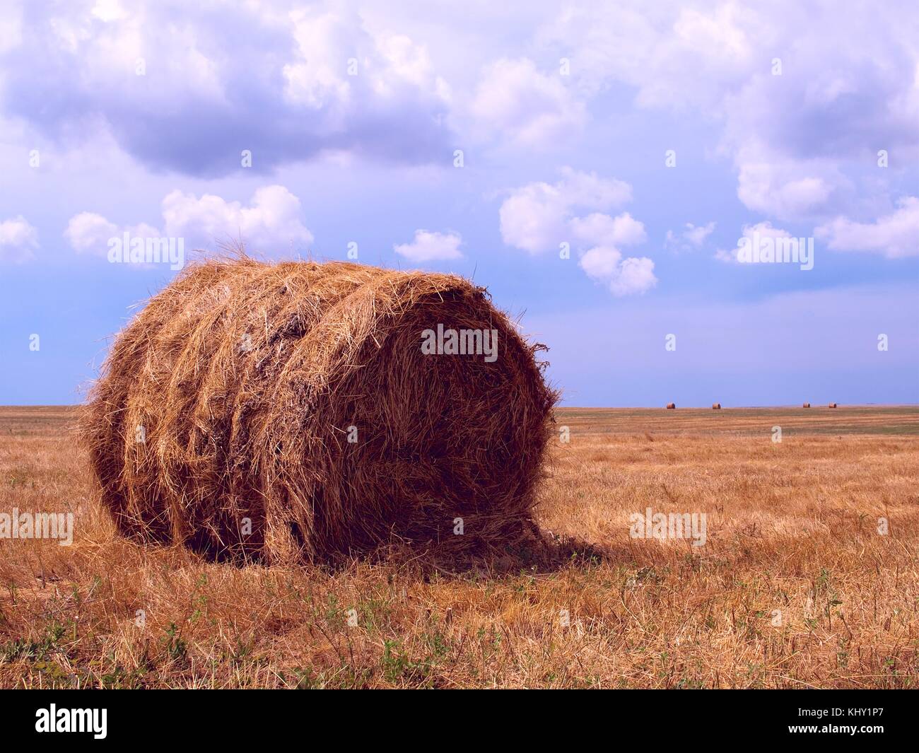 Haycock hi-res stock photography and images - Alamy